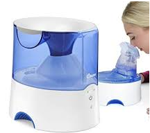 Facial humidifier